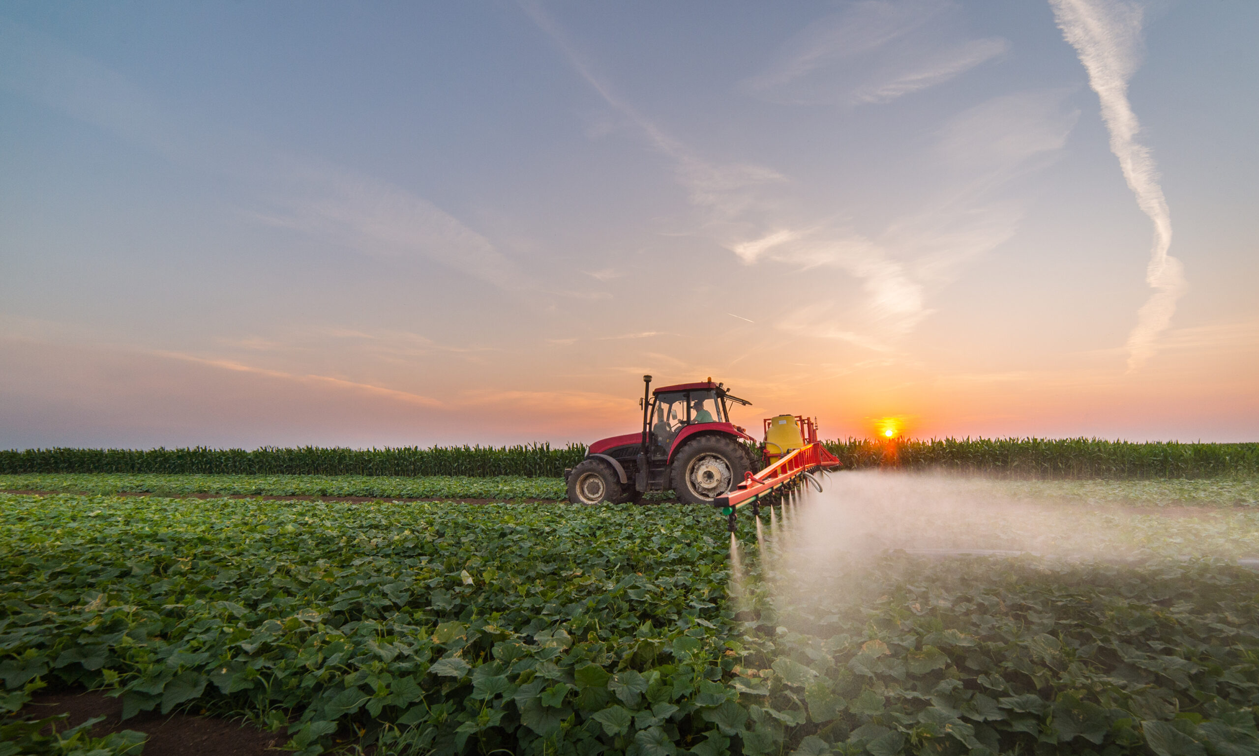Agricultural Sprayer And Its Uses RDS MME Agricultural Sprayer And Its Uses RDS MME